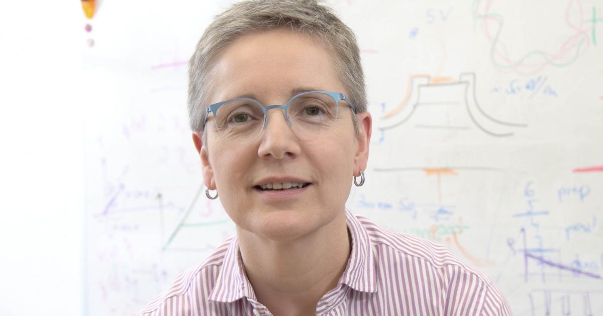 Claire Gmachl | Keller Center at Princeton University