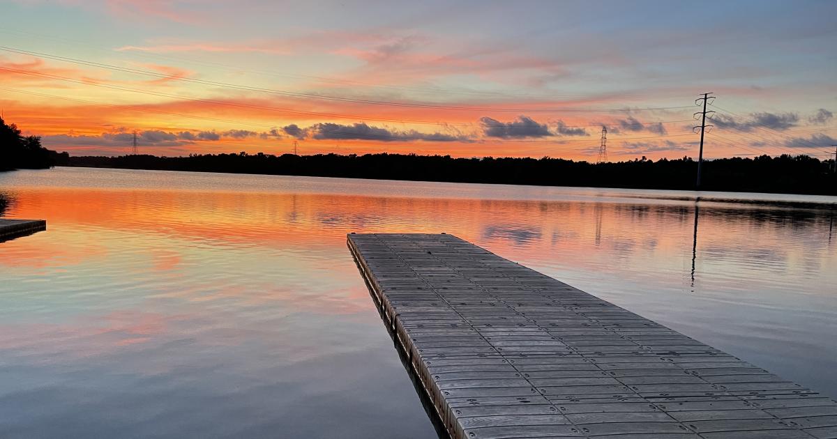 Reflections on 2023 | Keller Center at Princeton University